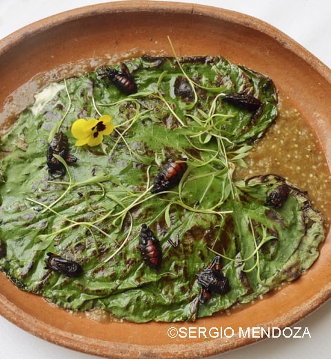 En junio, Bichos en El Mural de los Poblanos | Con Apetito