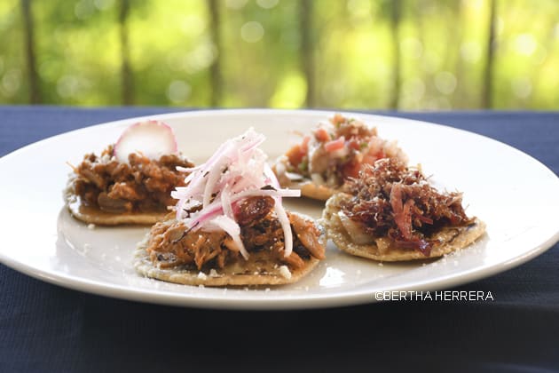 Entérate que platillos debes probar en Colima | Con Apetito