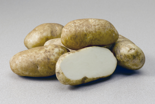 papas Russet Burbank Mound | Con Apetito