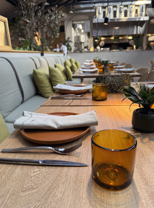 Local 777 experiencia sustentable en la Ciudad de México